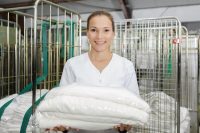 Morgan Linen Services Inc | Albany NY | Saugerties NY